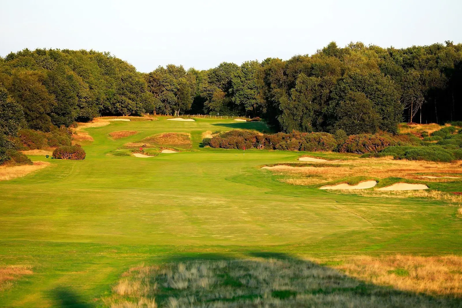 Alwoodley Golf Club: Best Course Review in 2025