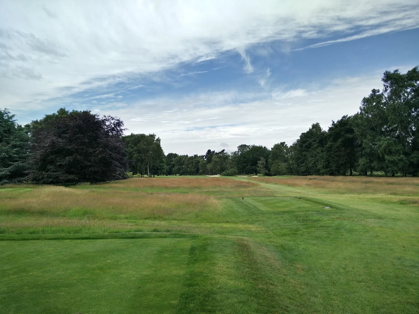 Copt Heath Golf Club: Best Course Review in 2025