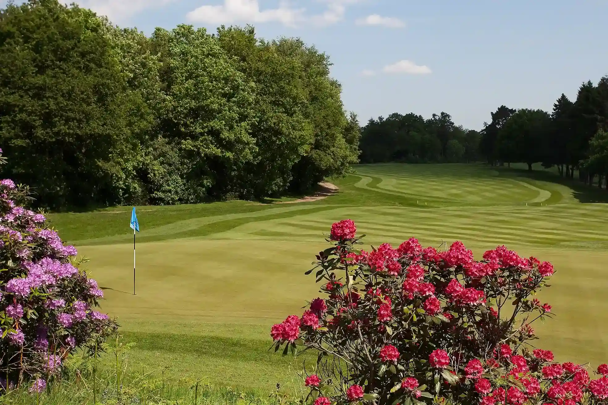 Moor Park Golf Club (High Course): Best Course Review (2025)